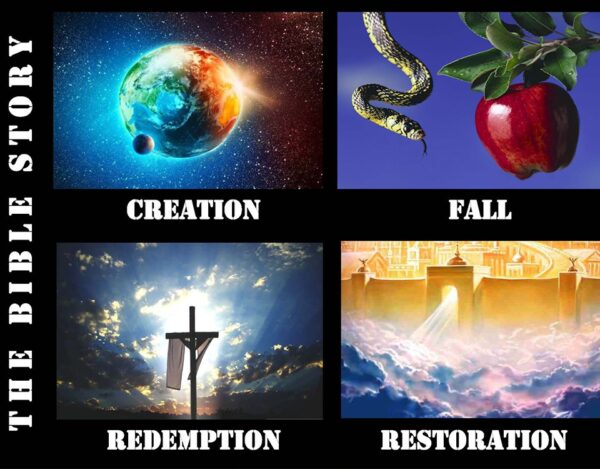 Bible Basics | Bible IQ