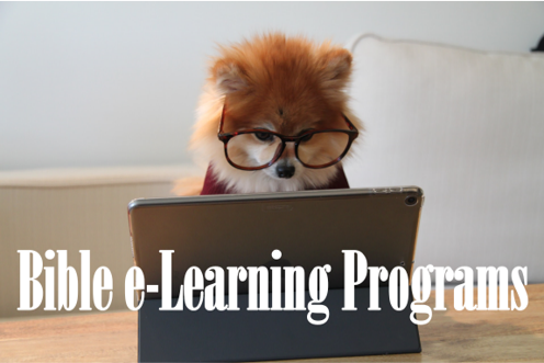 Bible Learning Platform | Bible Quizzes | Bible Trivia | Bible IQ